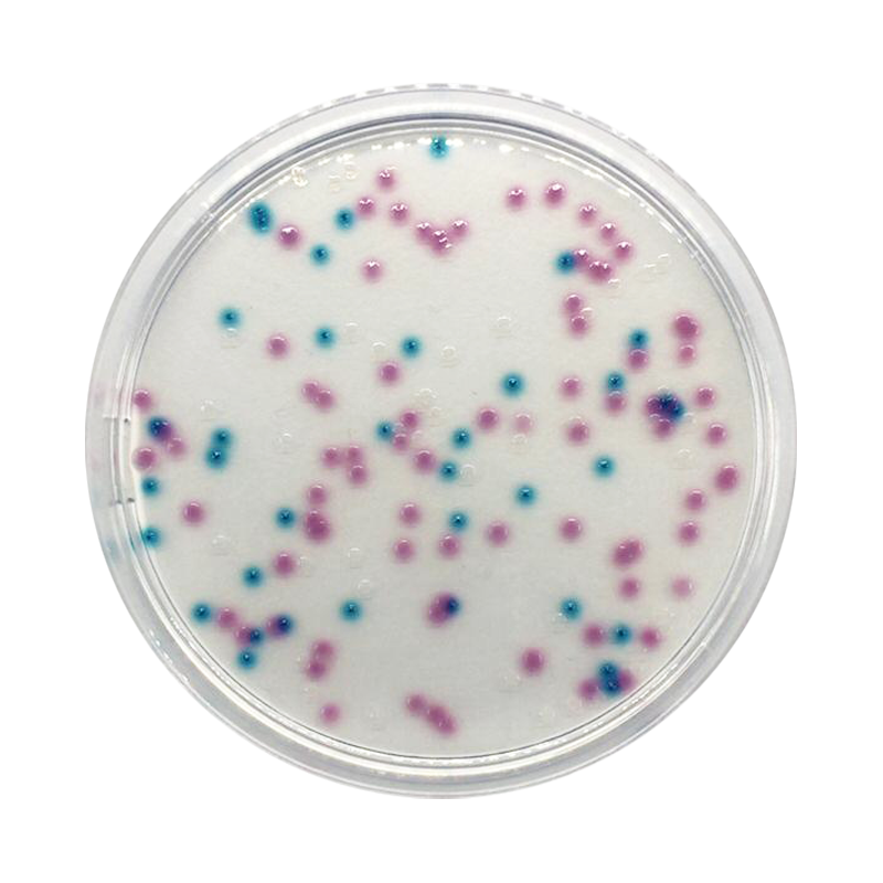 Base de Agar Cromogénico E. coli-Coliformes (BOE) Formato 500 g