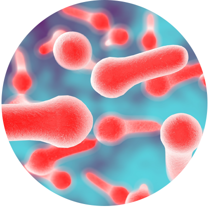 Other common bacteria in cosmetics and you didn't know