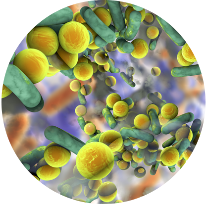 Other common bacteria in cosmetics and you didn't know