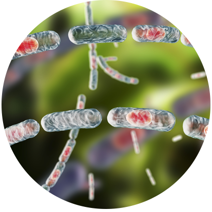 Other common bacteria in cosmetics and you didn't know