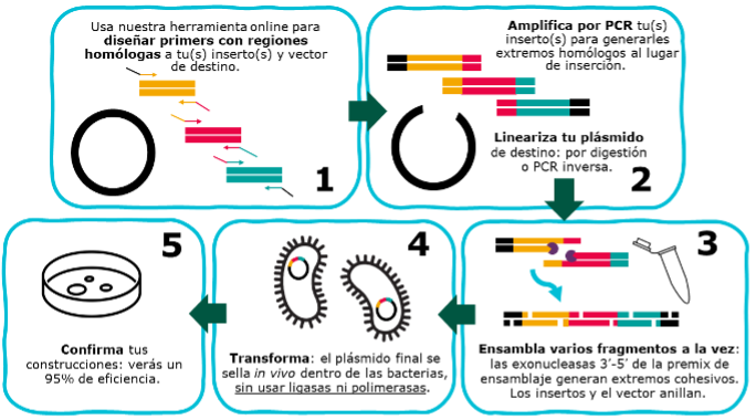 In Fusion Snap, clonaje a tu medida y sin complicaciones