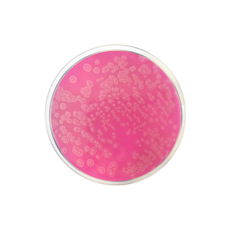 Acetamide Agar Formato 500 g