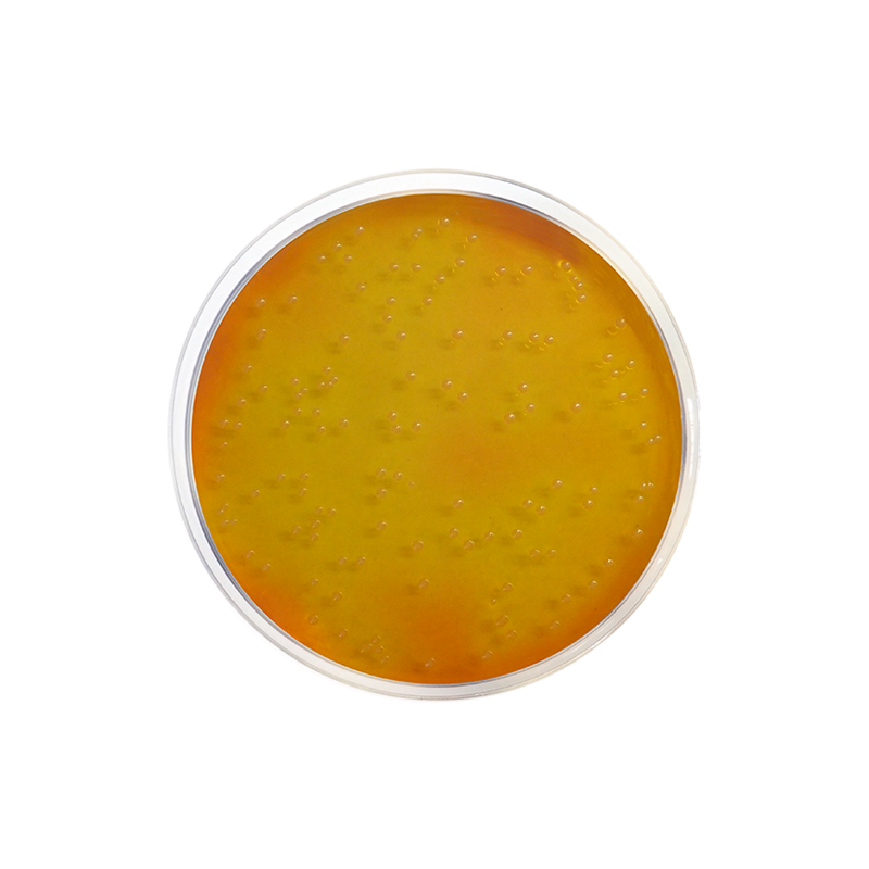 Mannitol Salt Agar (MSA) (Chapman Medium) EP/USP/ISO Formato 500 g