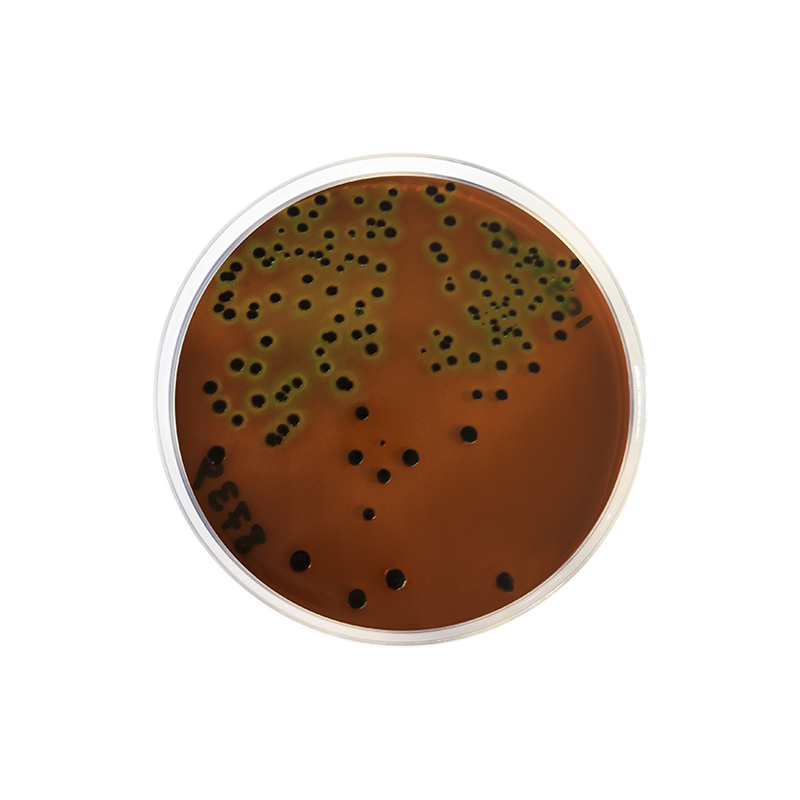 Levine Eosin Methylene Blue Agar Levine Emb Agar