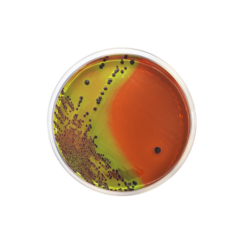 Agar Levine (EMB) BAM/ISO Formato 500 g