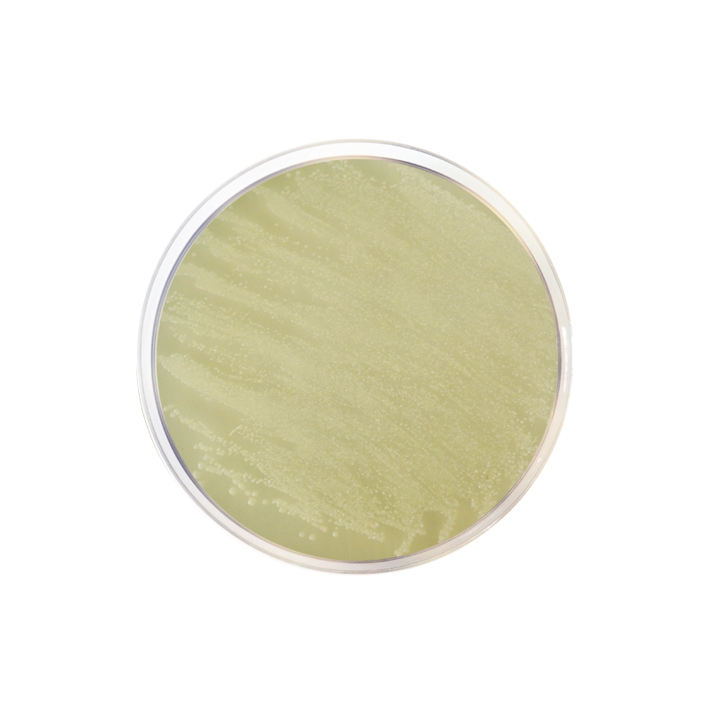 Base de Agar Propionato TOS ISO Formato 500 g