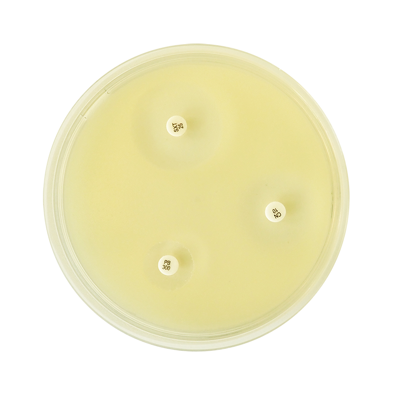 Mueller Hinton Agar Formato 500 g