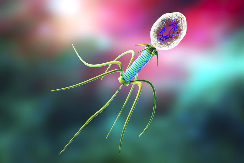 Colífagos: el futuro de los indicadores en aguas