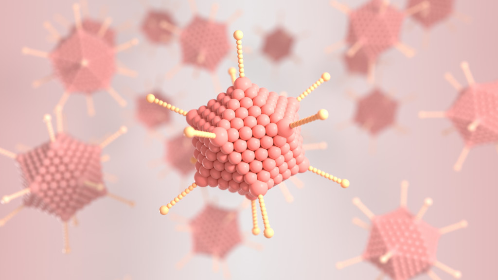 Vectores virales. Características, tipos y como obtenerlos